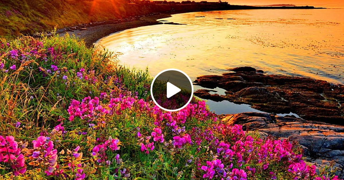 Ms Skyrym Voyages: Time & Life by Ms Skyrym | Mixcloud