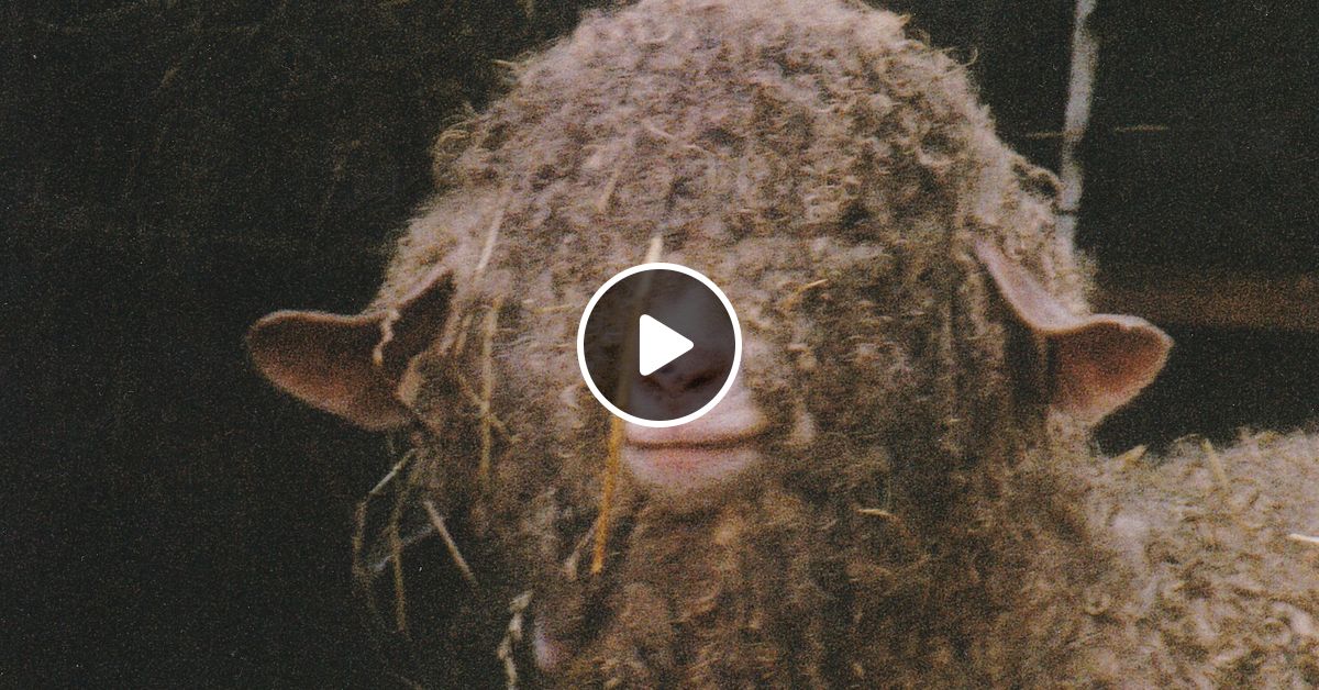 SERiOUS jONES .. .. "Chasing Shadows" >> by Ian Japp | Mixcloud