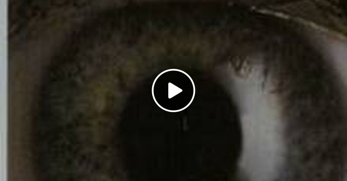 Watch And Repeat Play A Warp Records Mix By Buddy Peace And Zilla