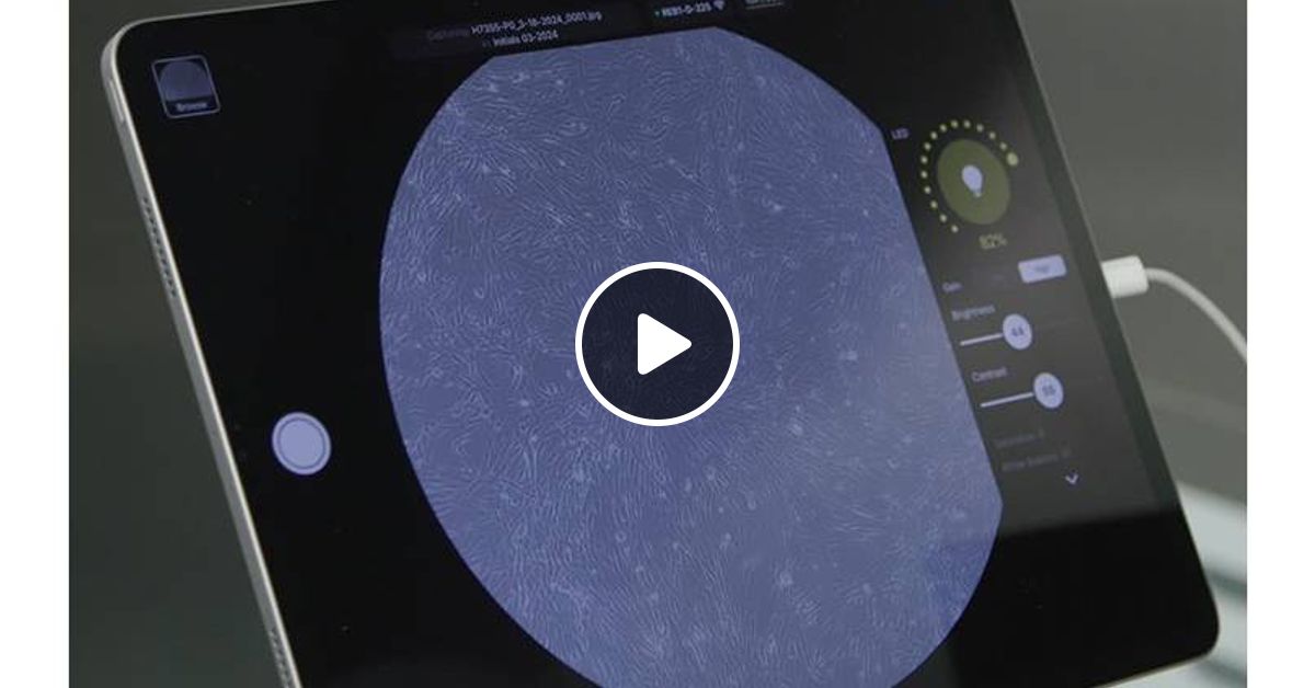 How Advanced Cell Technology Is Revolutionizing Regenerative Medicine ...