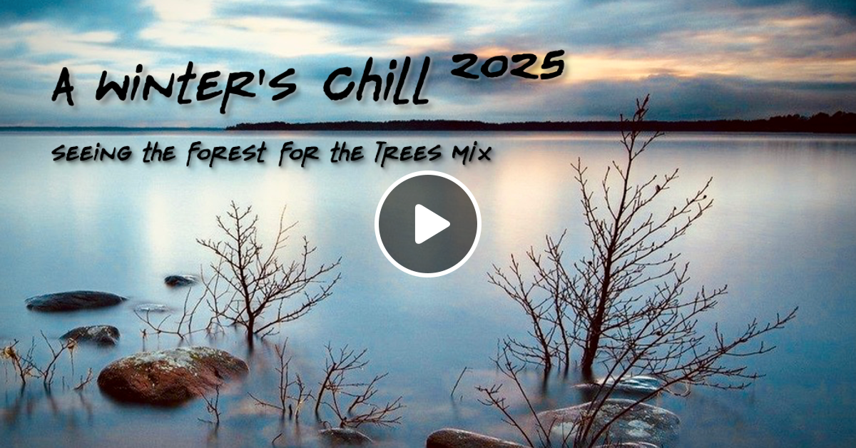 A Winter's Chill 2025 - Seeing the Forest for the Trees Mix by DJ Kurt ...