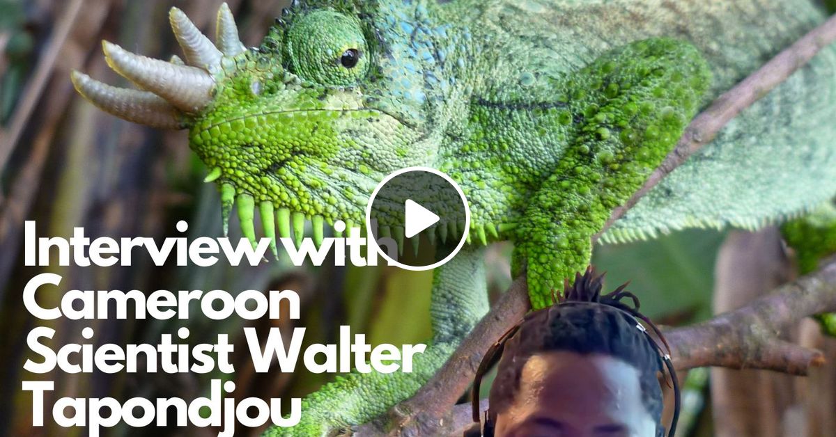 Interview with Cameroon Scientist Walter Tapondjou by Chameleon Breeder ...