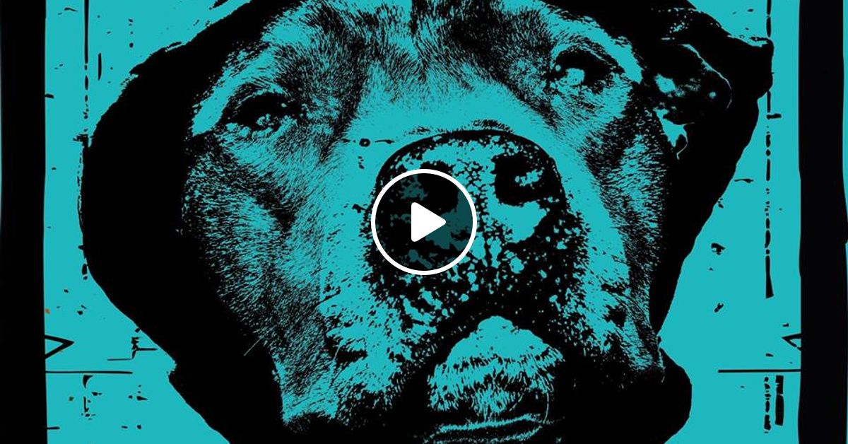 Malajunta Malandro Ey perro by carlitosplaneta | Mixcloud