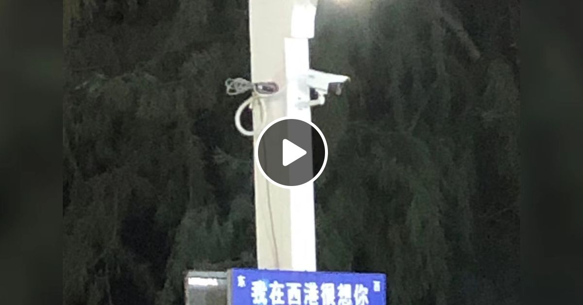 DJ'YE【耀祖 Private Mix'24】《B2$ & KOALA - 真的沒喝多 X Steady Gang - 周星翅 X 粉太狼 - 命運》Mixtape 2x24 by DJ ...