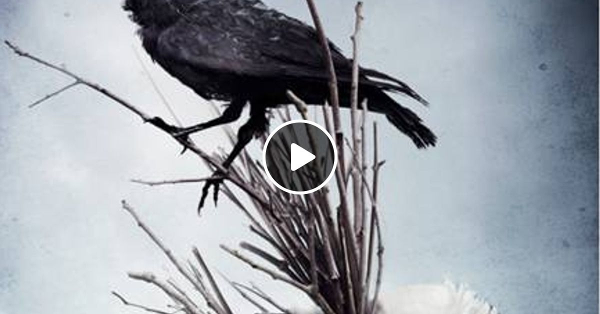 Adam Simon & The Cast Of Salem : Salem Mix N°1 by The Voice Of ...