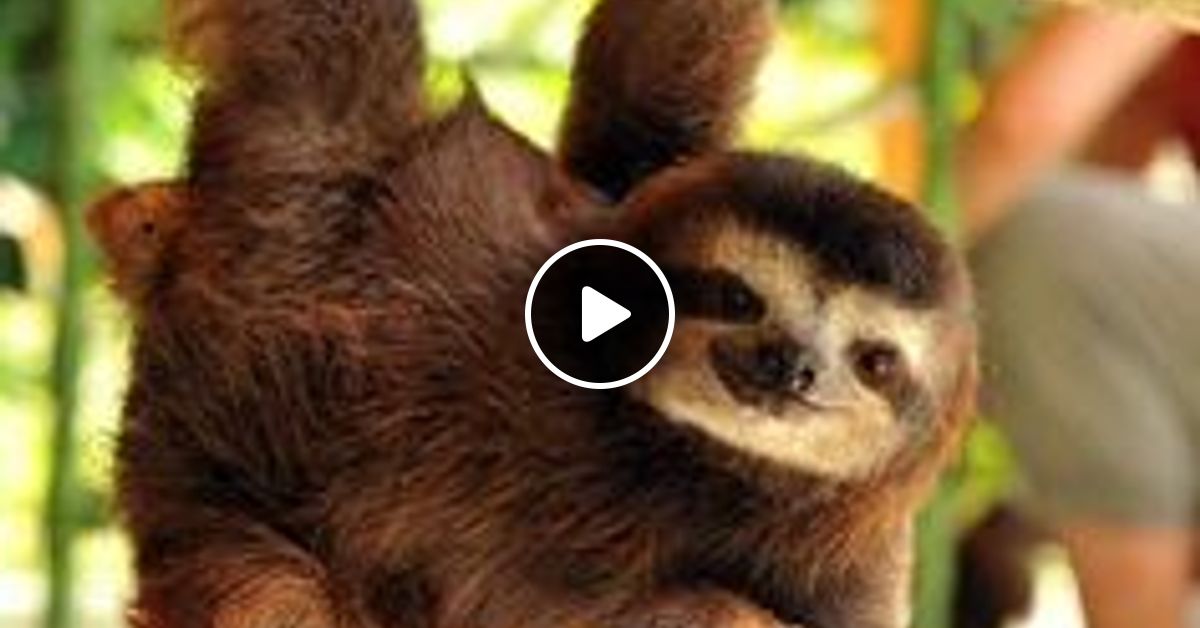 Sluttcast 1 by Tyrone_Slothrop listeners | Mixcloud