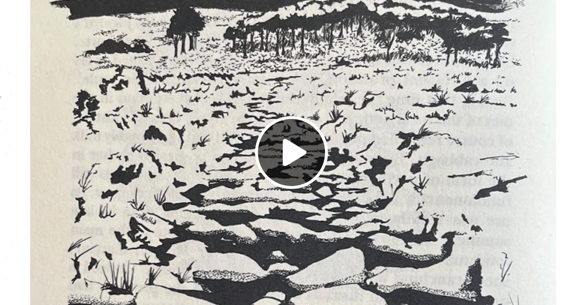 KCT 2024 - Dr Dickson – Remembering Kilcasheen County Clare and the ...