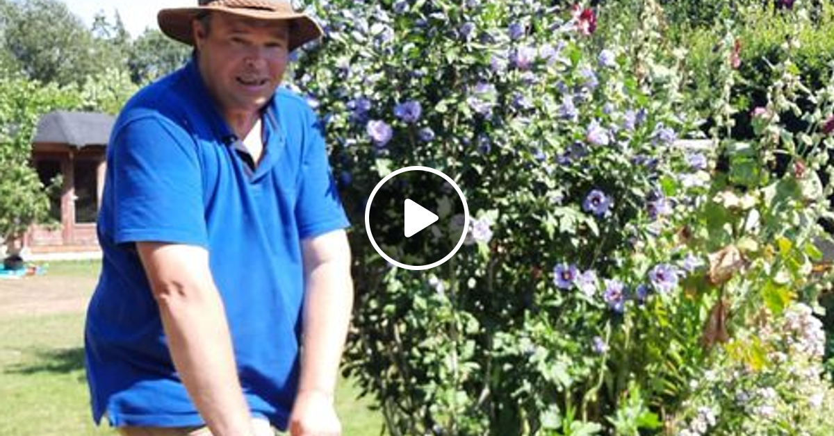 3. Gardening Thymes (06/07/25) by Frome FM | Mixcloud