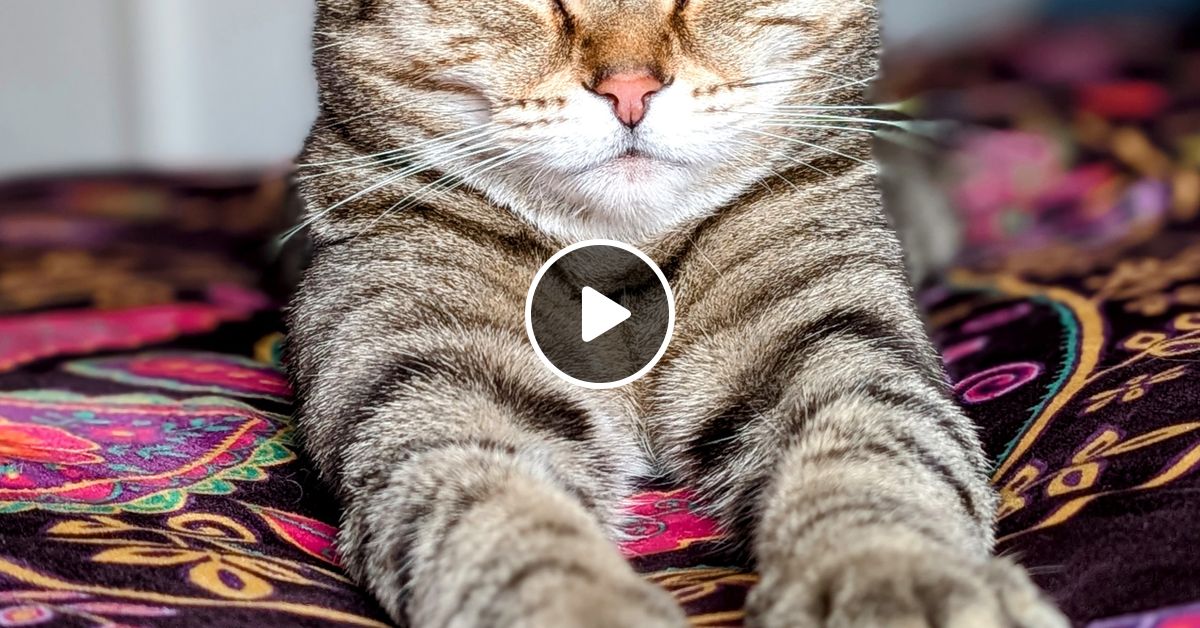 80's & 90's All The Way With Caz from 14th May 2025 (1 Year Anniversary ...