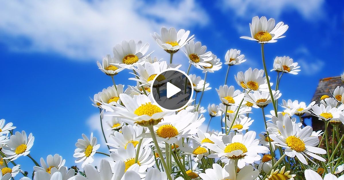 Ms Skyrym Sounds (16 05 2015) by Ms Skyrym | Mixcloud