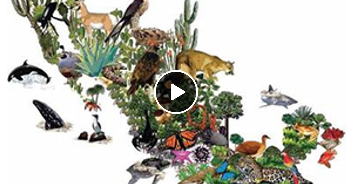 Somos Nuestra Memoria: Algunos animales extintos en México by Radio ...