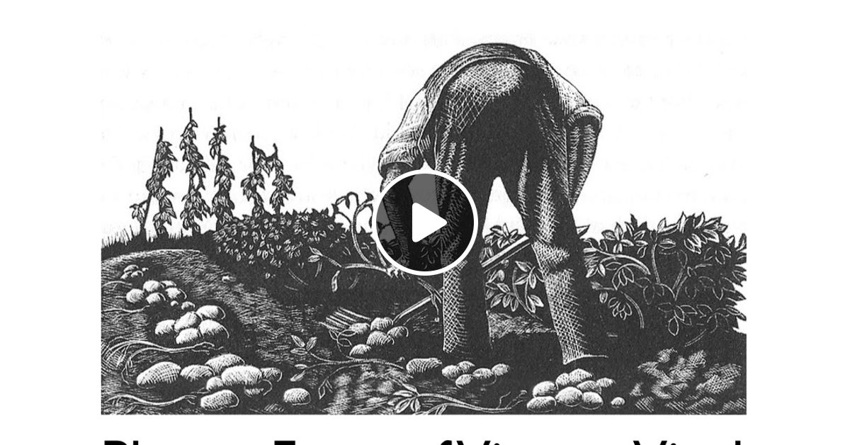 TGIF 13.09.24 "3 Acres & A Cow" + A Feast of Vintage Vinyl by Thank ...