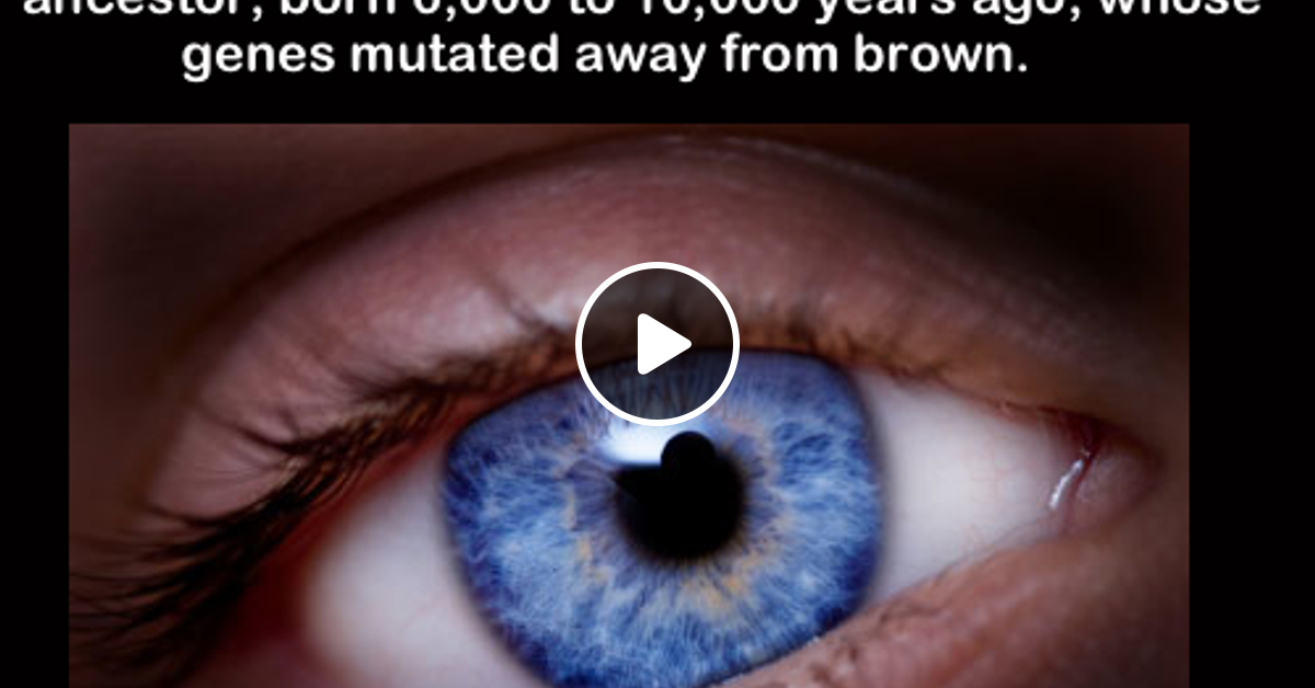 Eyephoria - An Interview with Dr. Jane Edmond by Eyephoria | Mixcloud