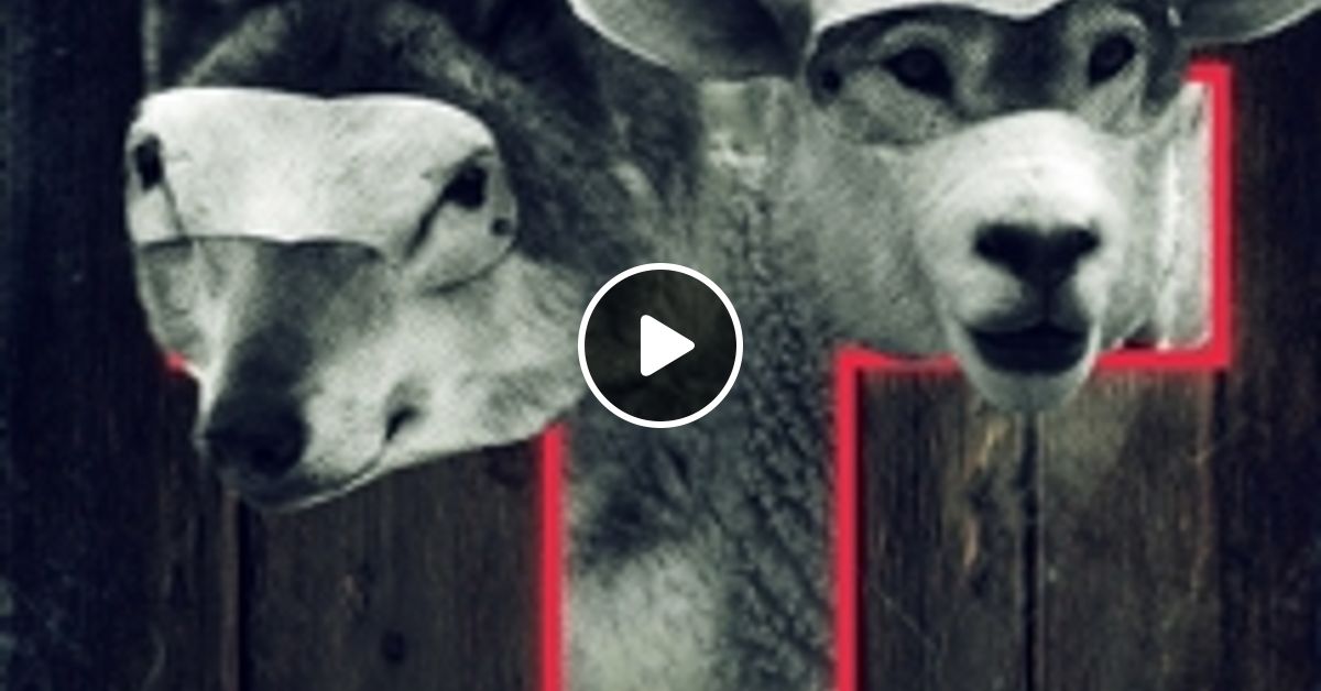 Wolf + Lamb Live @ Piknic Electronik Closing 2012 by XER303.com | Mixcloud