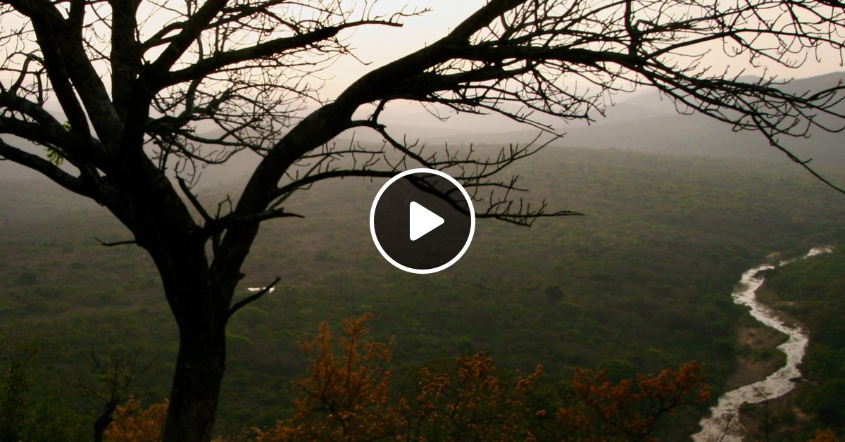 Gravity Falls 048 by Mike | Mixcloud