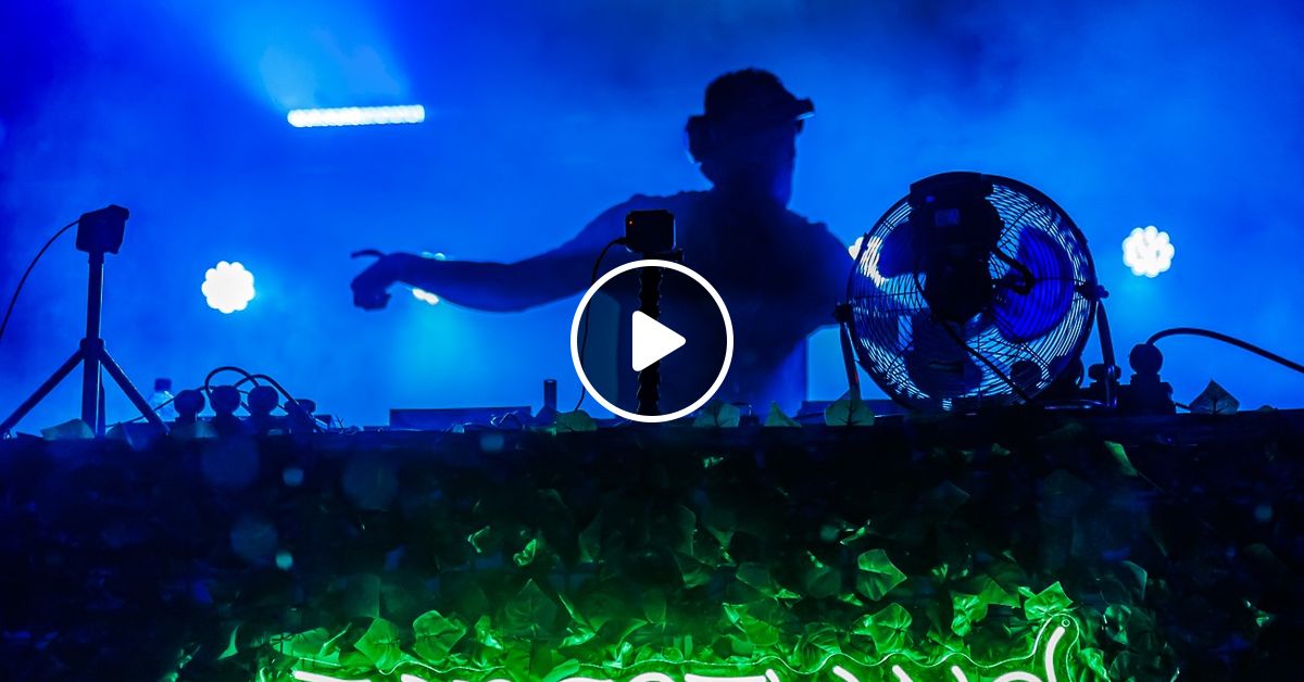 Live @ Forestland Festival 2024 by Vedran Car | Mixcloud