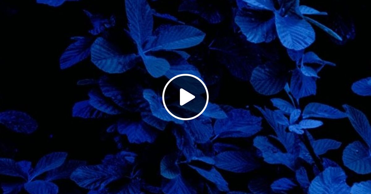 DJ Ray Velasquez presents The Blue Monday Blues (Auntie Acid Fast ...