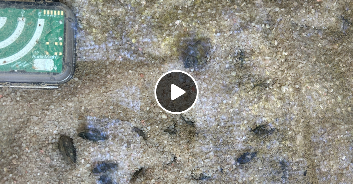 RadioActive - on Water #5 - River Breathing by Carlos Monleon ...