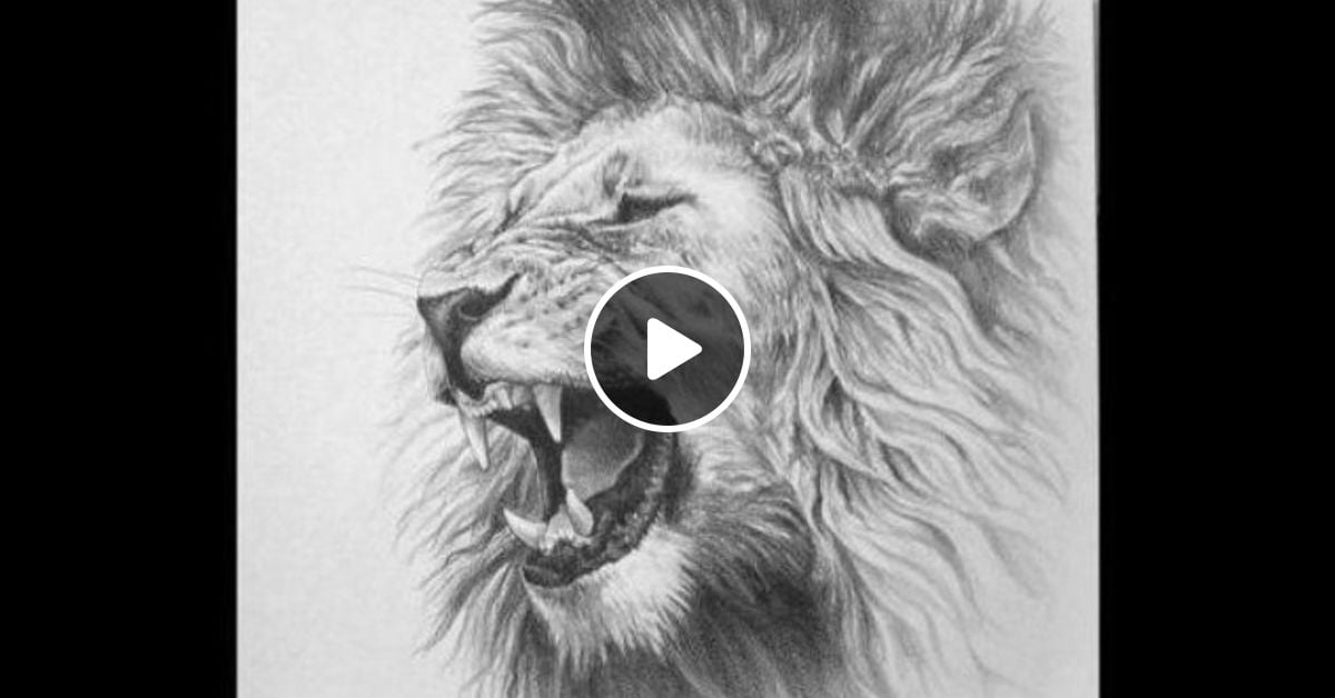 DONALD CHRISTOPHER OTOOLE - AKA - VORTEXXX - "ROAR" - SET - BREAKCORE ...