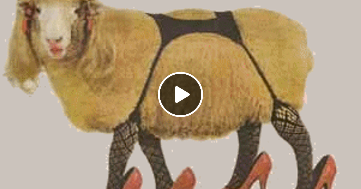 Mutton Dressed As Lamb by olwah | Mixcloud