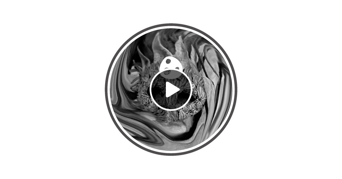 WCR ䷀ DARK TRAIN ䷀ FIGGY HOBBIN ䷀ RECIPE XIII ䷀ KATE BOSWORTH ䷀ 28 ...