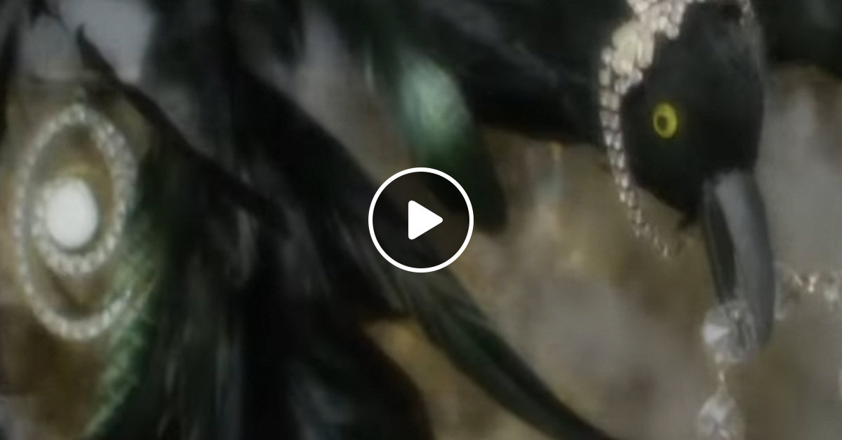 Heaven and Earth Magic w/ How to Dress Well - 10th April 2024 by ...