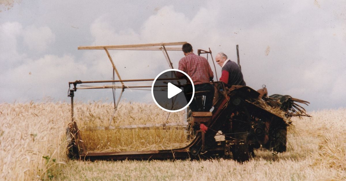 serious jones XXXX Ministry of DE-fENCE .. HERAS by Ian Japp | Mixcloud