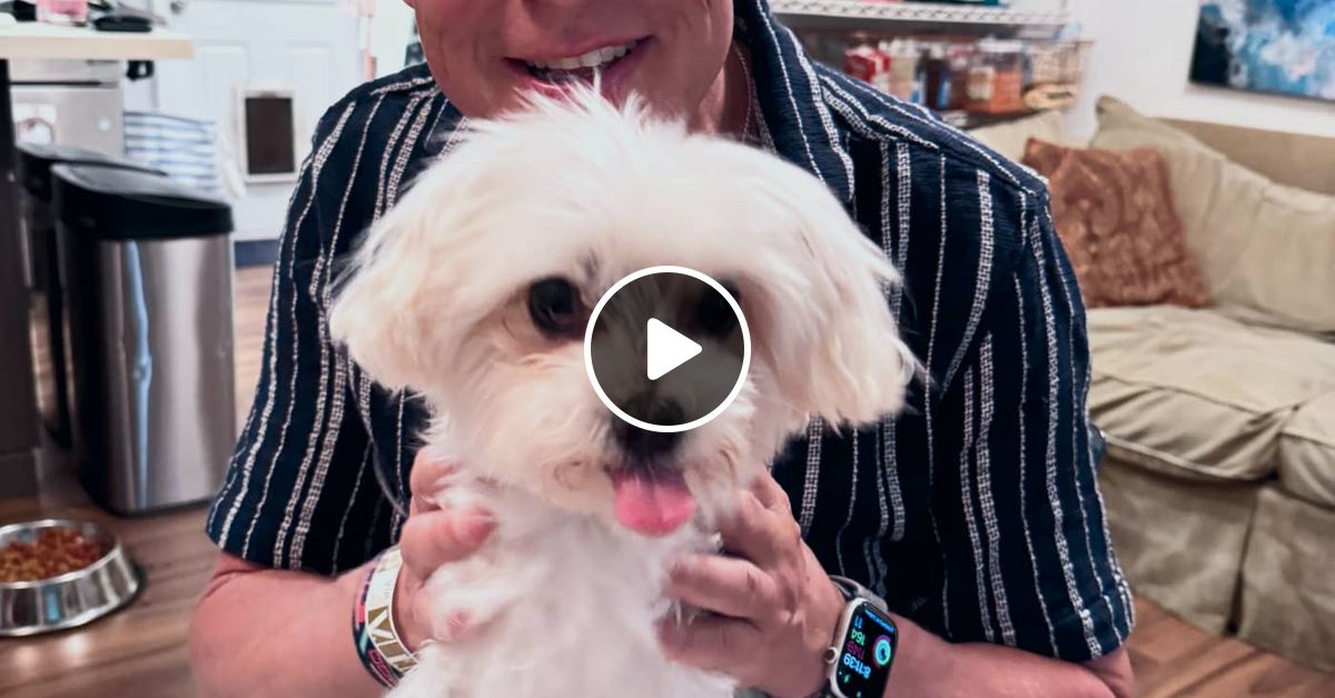 FSQ - Chuck Da Fonk — 10 April 2025 by The Face Radio | Mixcloud