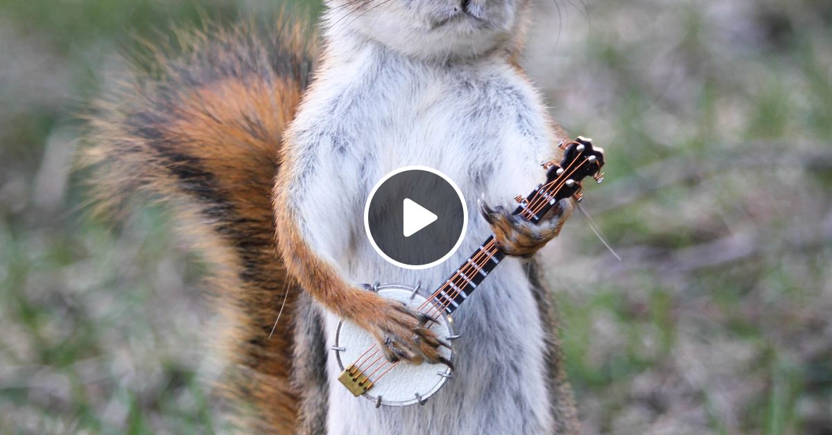 June 25 House Mix "Squirrel Party" by Darren James Bloxham | Mixcloud