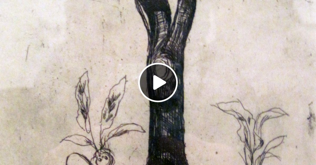 Retia mirabilia first spring show (21.03.2014) by Weird Fishes Radio ...