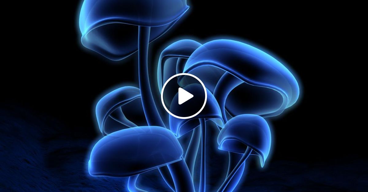 Uncle Fungus - Colorful Journey by Uncle Fungus | Mixcloud