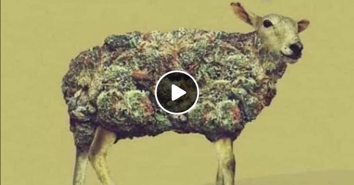 tja by hupla | Mixcloud