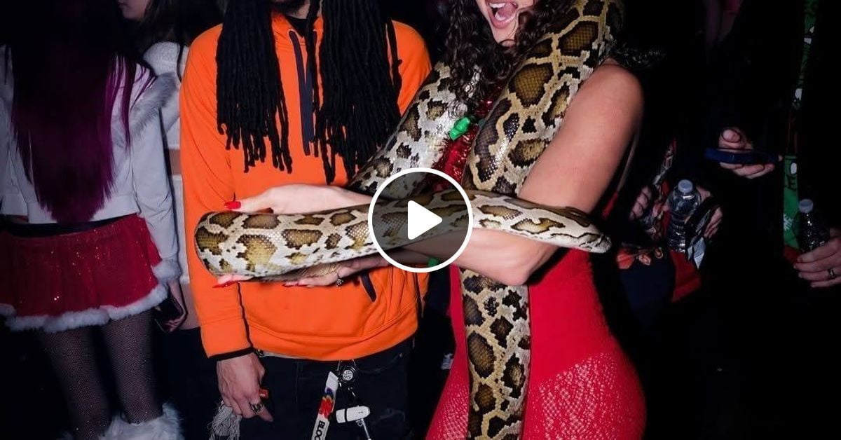 TRUST THE DJ BREEZY247 RAP + OLD SCHOOL HIP HOP + FUNK/SOUL + PARTY MIX ...