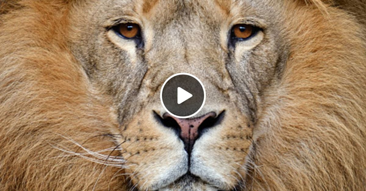 MUSA JUMA MEGA MIX by Wayara | Mixcloud