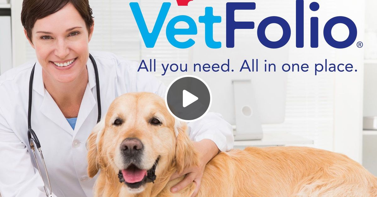 MentorVet: Using Evidence-Based Solutions to Promote Wellbeing by ...
