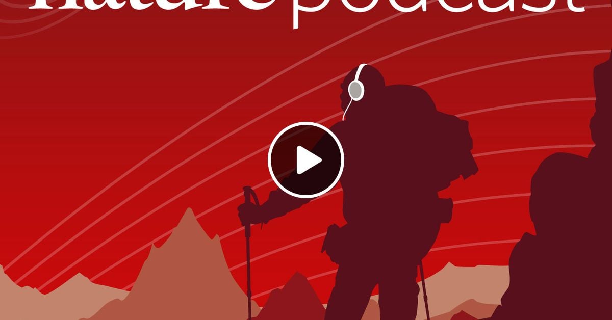 Audiofile: What is it like to be a bat? by Nature Podcast | Mixcloud