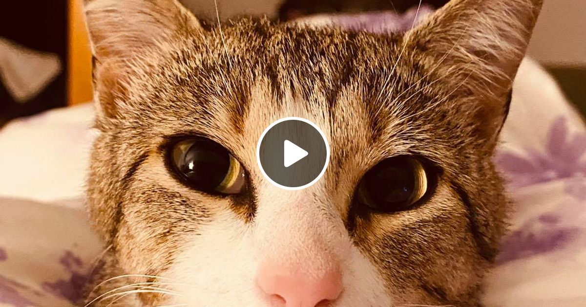 HEAVY MEDICATION SOUL CELLAR by Sunday Soul Cellar | Mixcloud