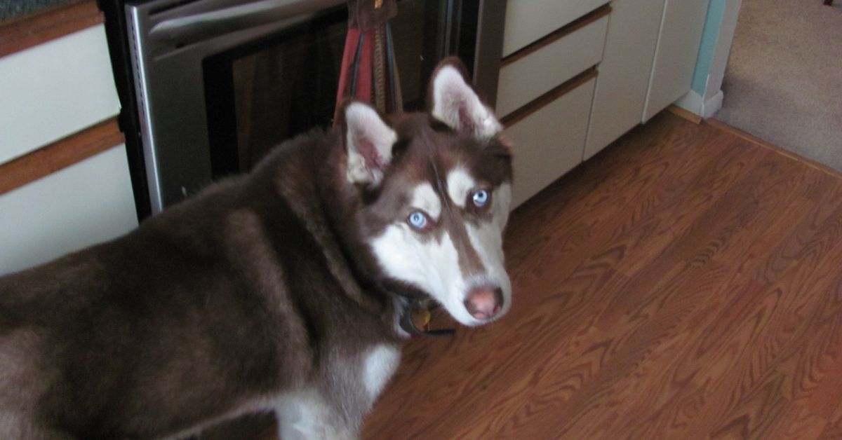 Cynthia Curran-Beitz's Favorites | Mixcloud