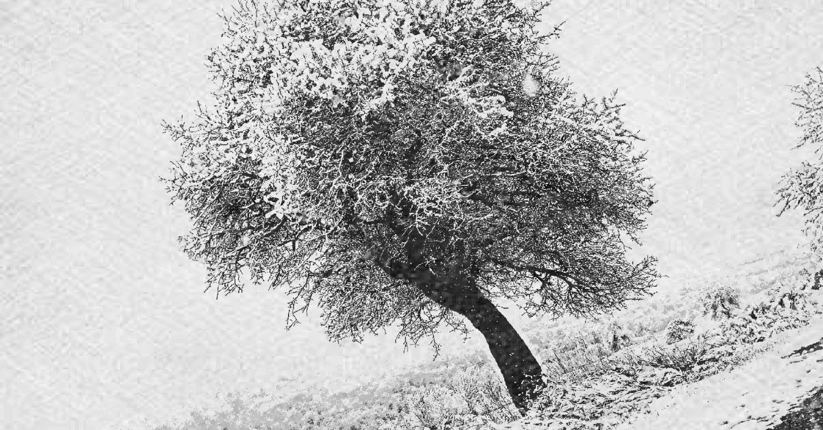 ivana75 | Mixcloud