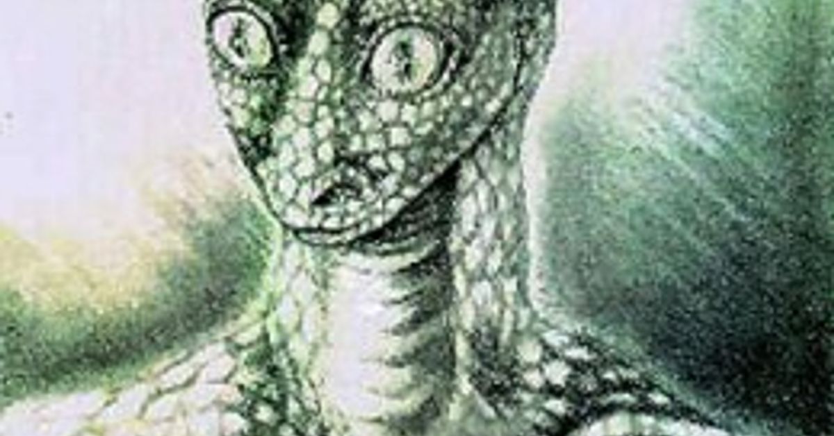 Dj Reptile's Stream | Mixcloud