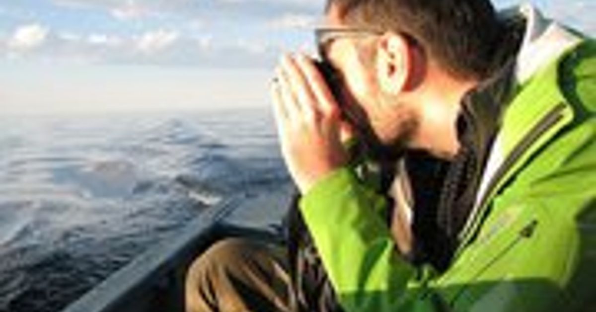 Marko Radonjic's History | Mixcloud