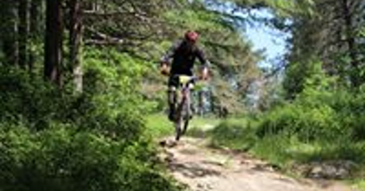 Angelo Calcagno's Reposts | Mixcloud