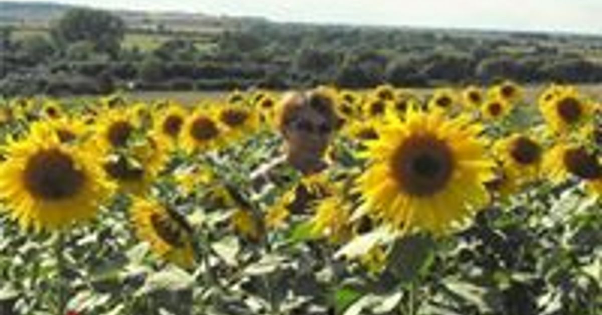 Sandy Noble | Mixcloud