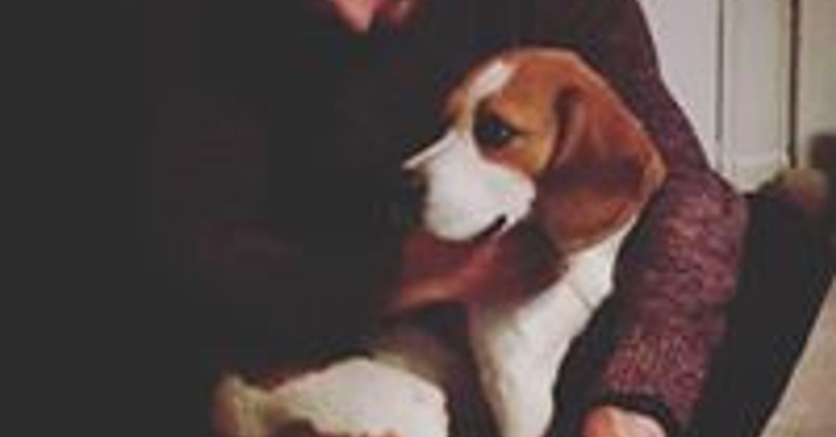 Patrick Pietens's Reposts | Mixcloud