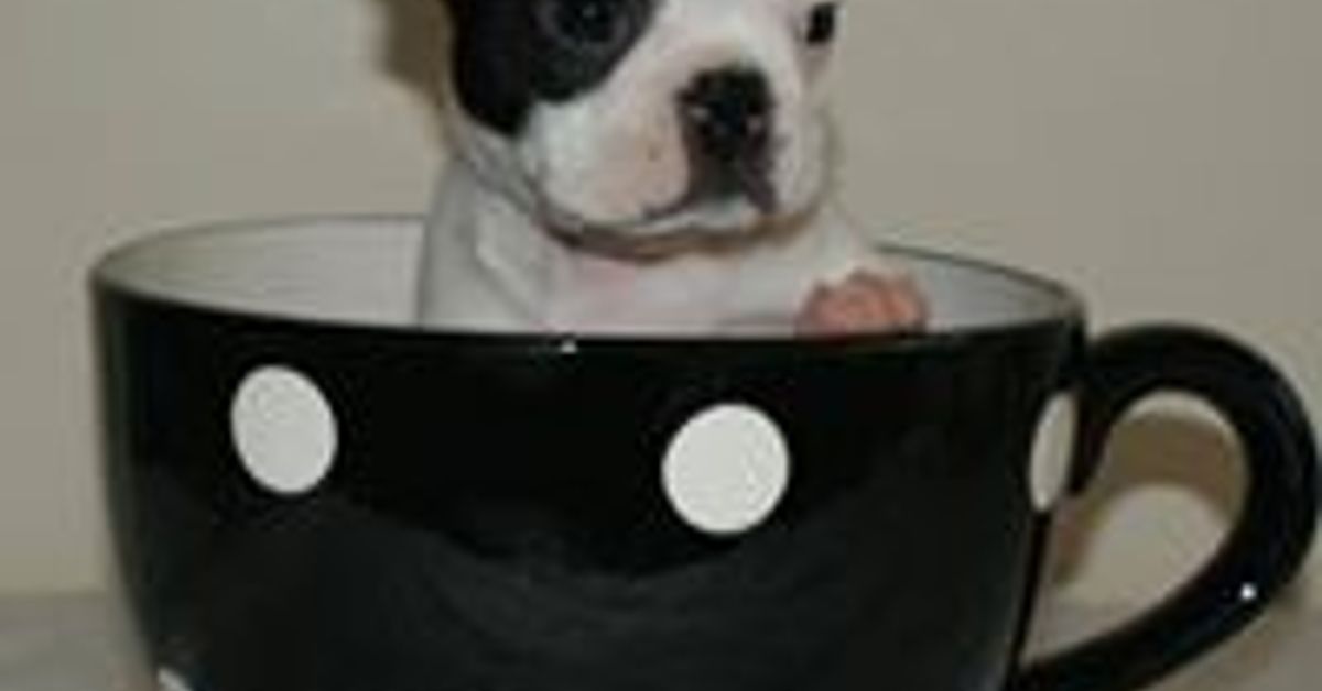 Sarah Padfield Was Cooper | Mixcloud