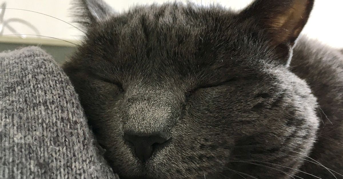 Andy Dennison | Mixcloud