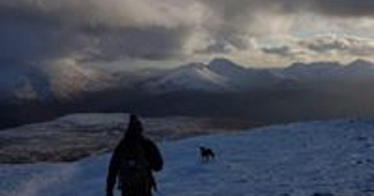 Andy O'Connell's Reposts | Mixcloud