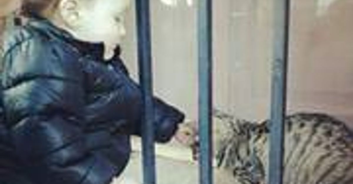 Atope Atopes Atope Atopes | Mixcloud