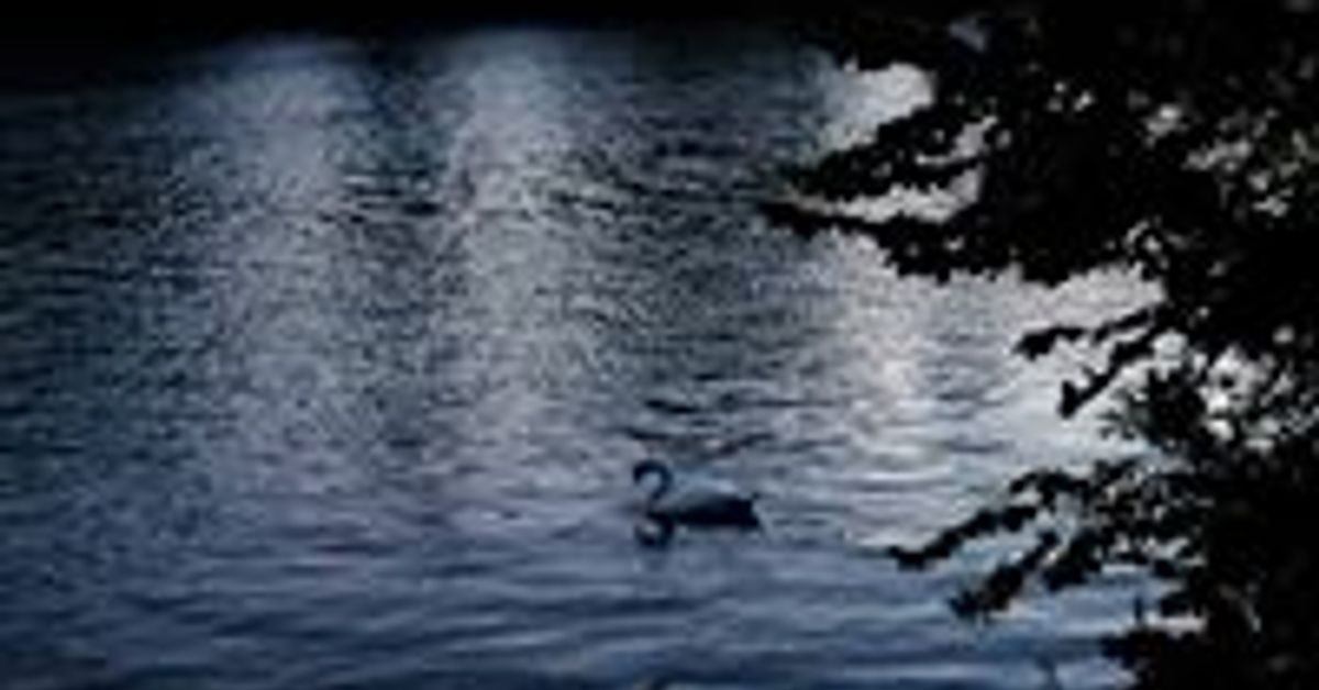 Brian Schembri | Mixcloud