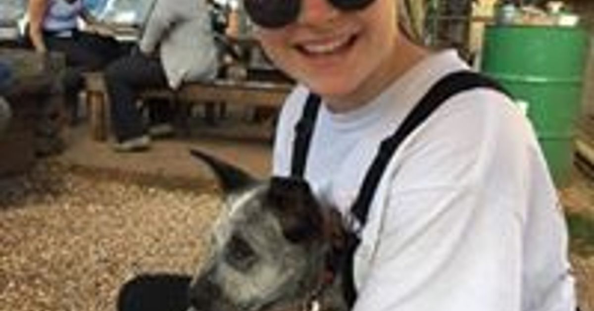 Pip Rasmussen's Shows | Mixcloud